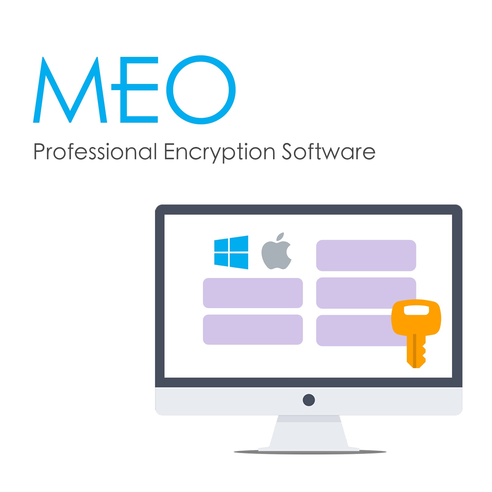 MEO Professional Encryption Software | Speech Products